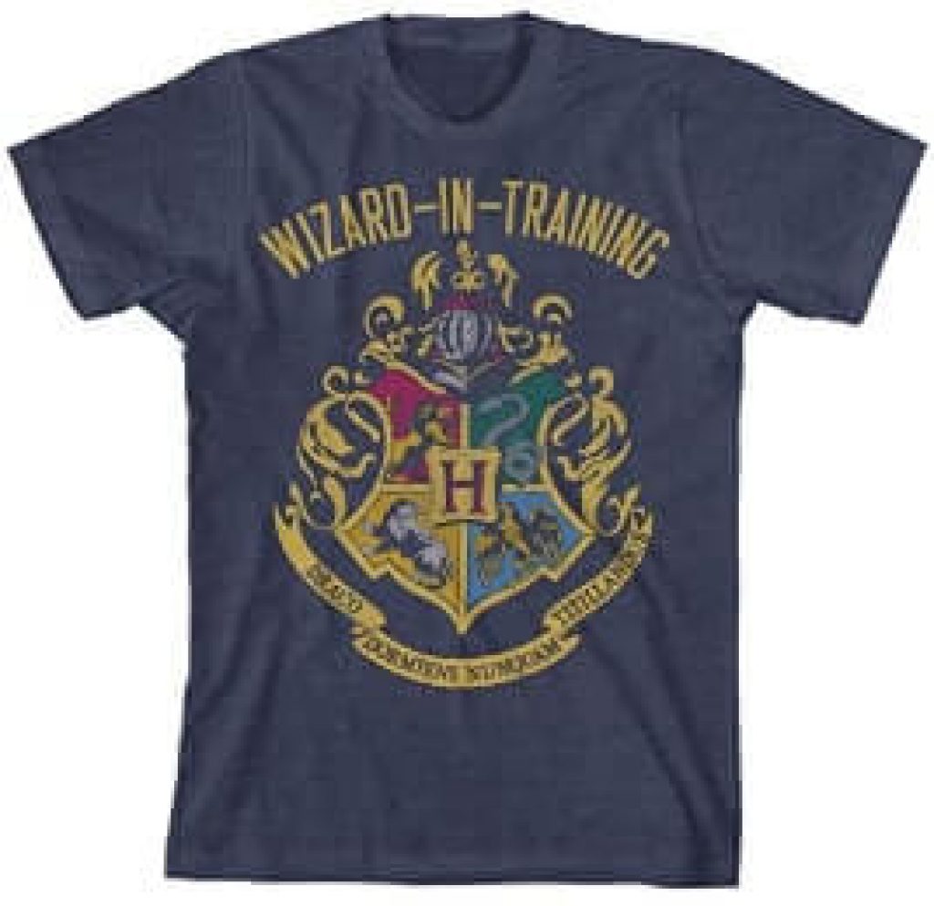 31 Harry Potter Gifts for Potterheads - Ideas Mama